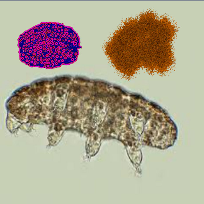 Moss Piglets Love Gorenoise | Intaendoplasmorphosiscopyatous ...