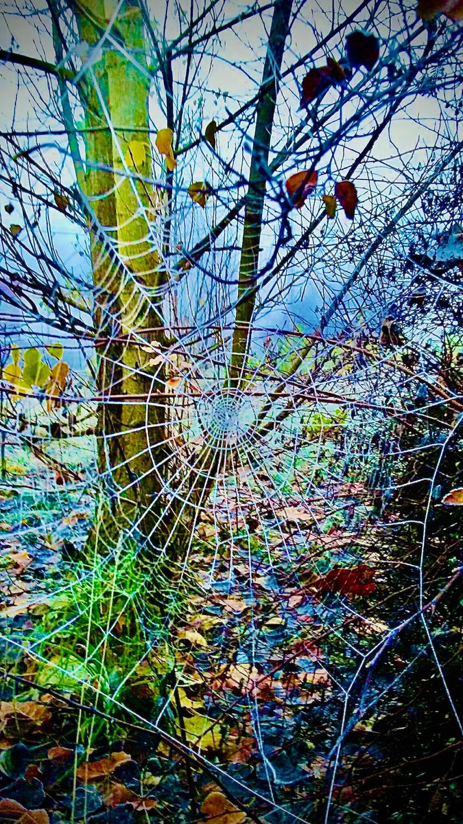 Gossamer | Rob Sozda & Joe Yates | Joey C. Yates