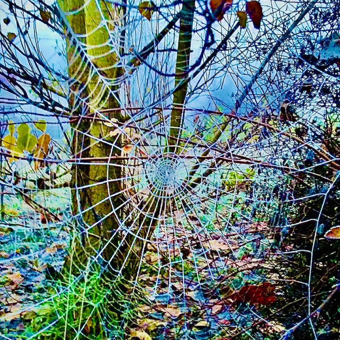 Gossamer | Rob Sozda & Joe Yates | Joey C. Yates