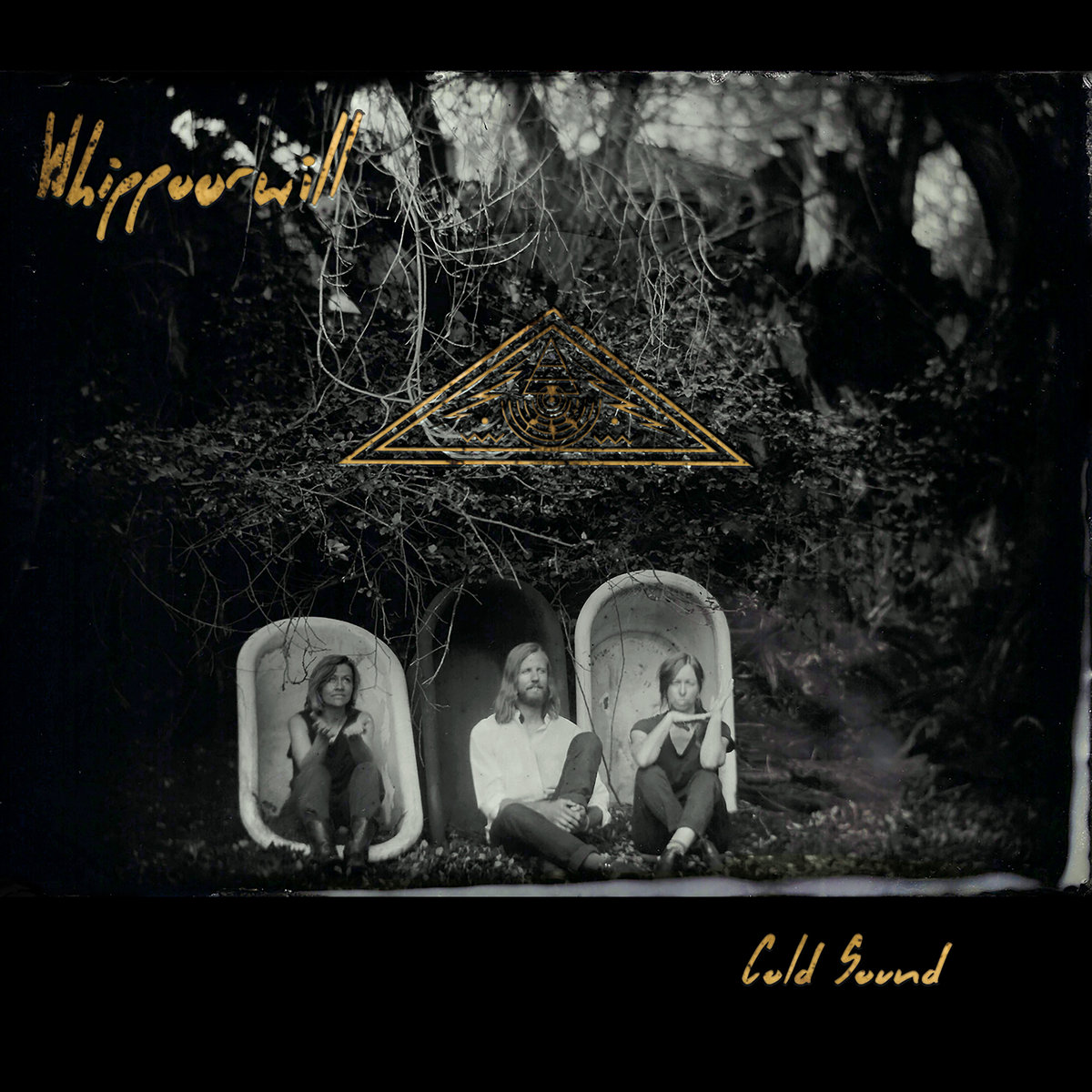 Cold Sound | Whippoorwill