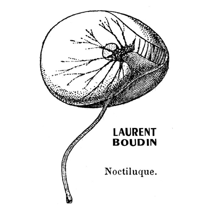 Noctiluque | Laurent Boudin | Coeur sur toi