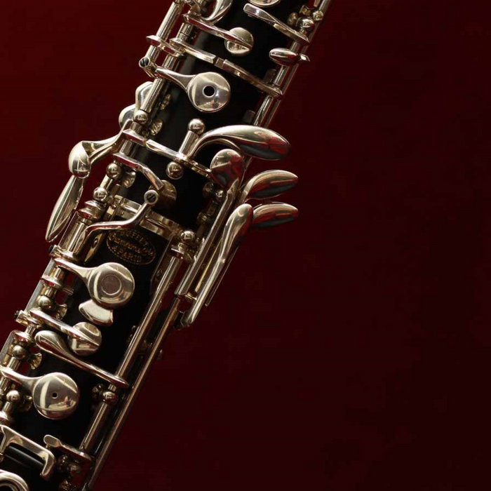 Beladar's Oboe Concerto | Beladar