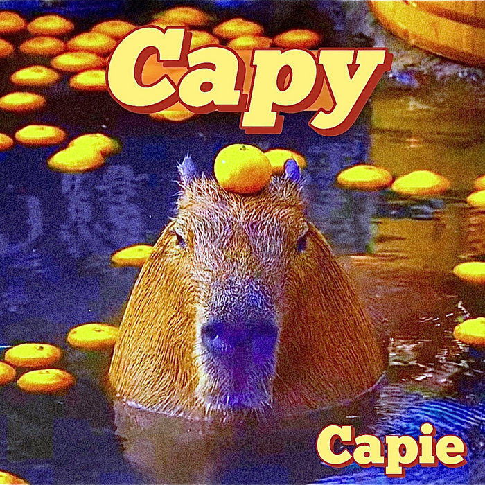 Capy | Capie
