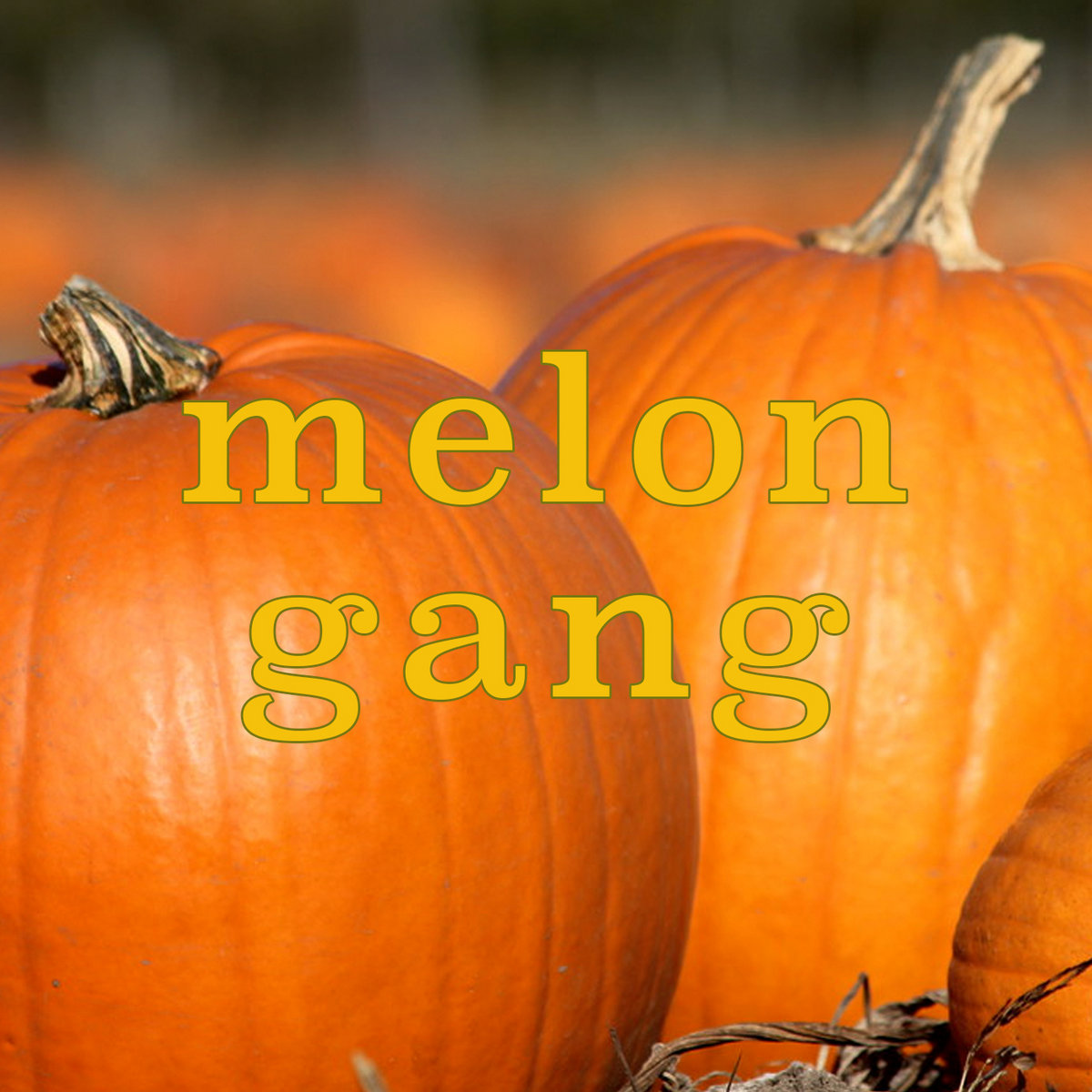 Pumpkin Jam | Melon Gang