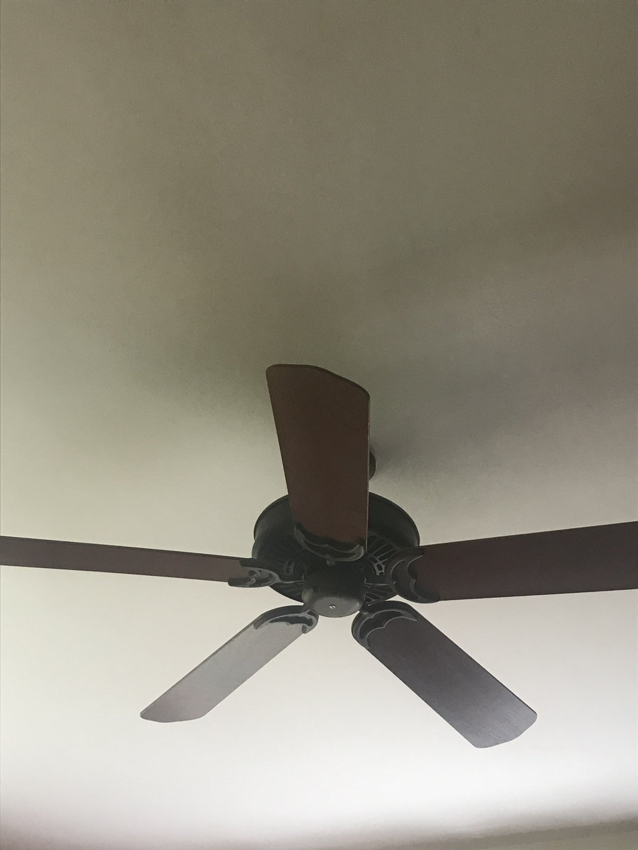 Ten Little Acorns Pt.1 | Ten Little Acorns