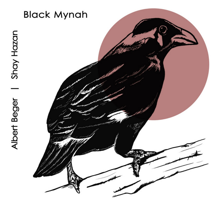 Black Mynah | Shay Hazan