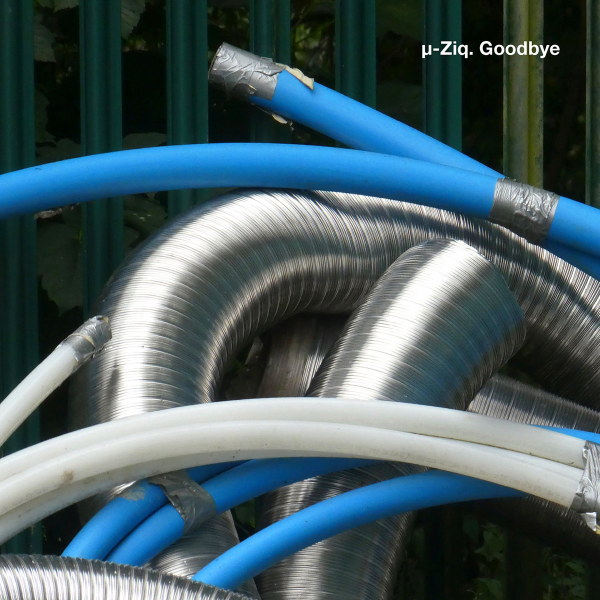 Goodbye | µ-Ziq | Mike Paradinas