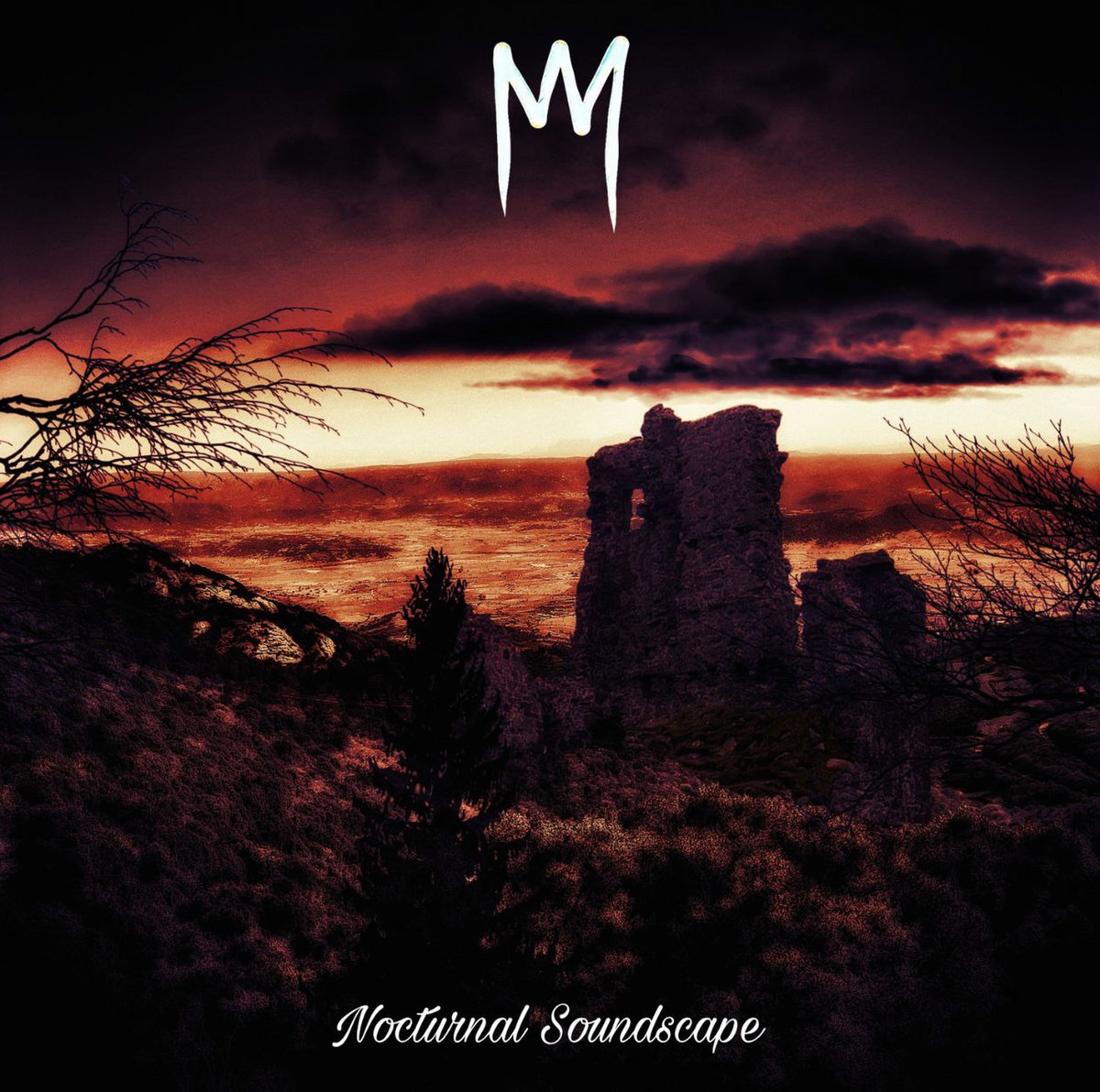 Nocturnal Soundscape | Mario Maccione