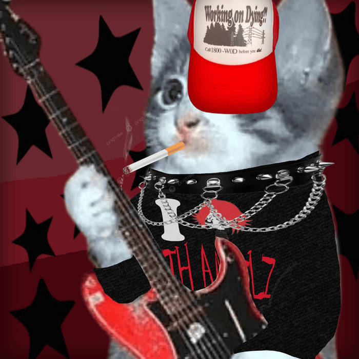 i fucking hate fiona gallagher | wifiskeleton