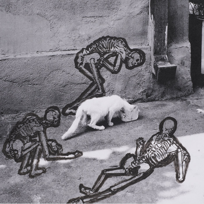 The Ephemeral | Evols | evols