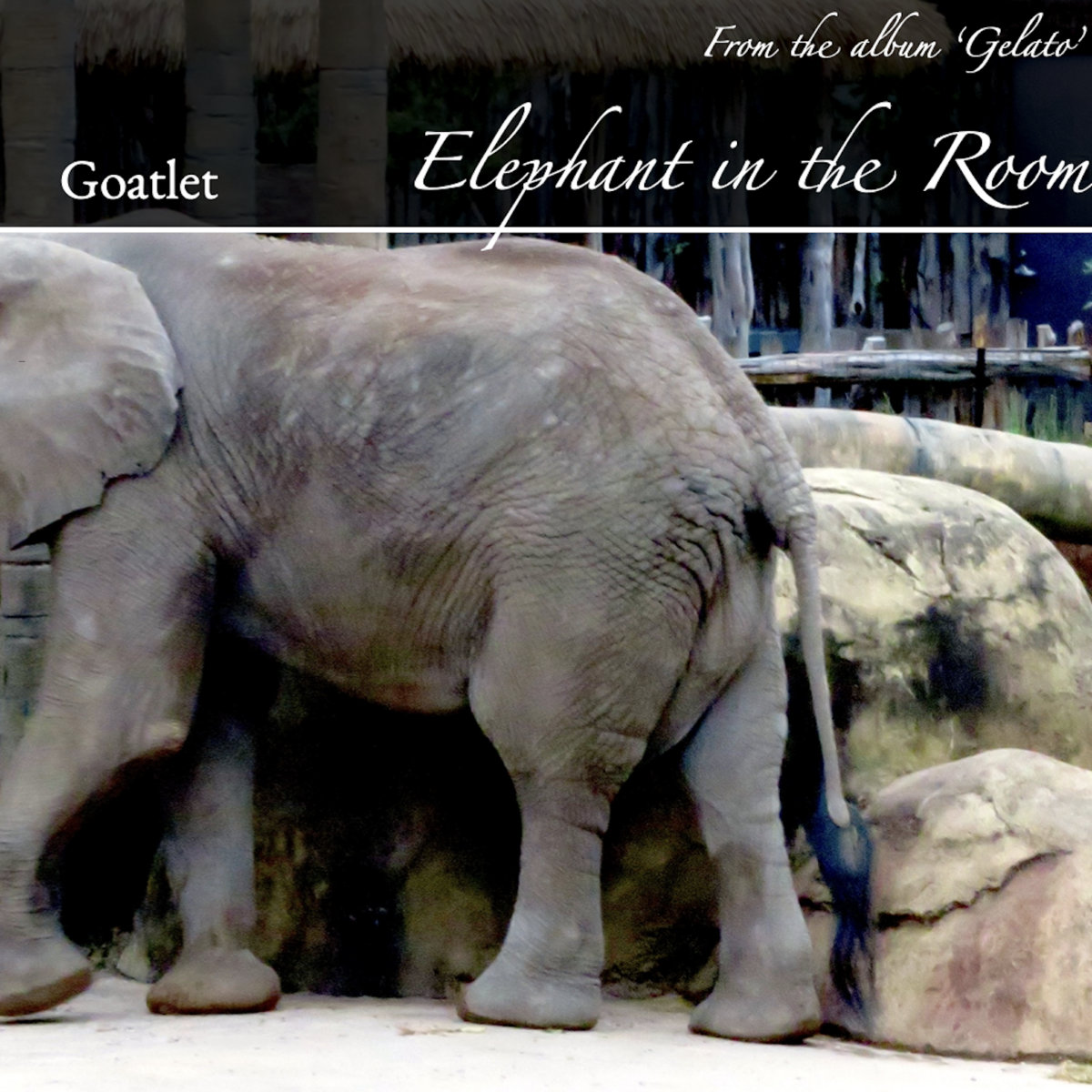 Elephant in the Room (Single) | Goatlet