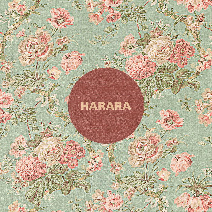 Untitled 3 | Harara