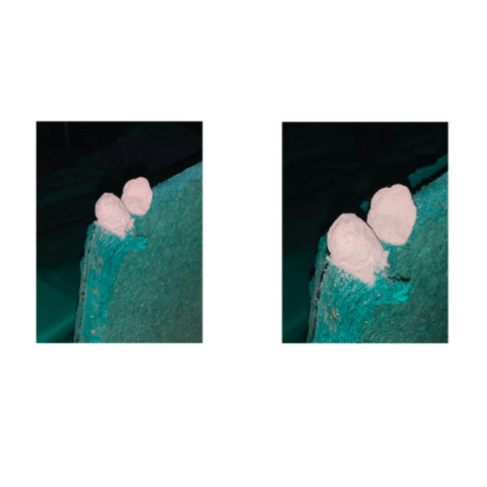 a very busy social life | claire rousay & anne-f jacques | anne-f jacques