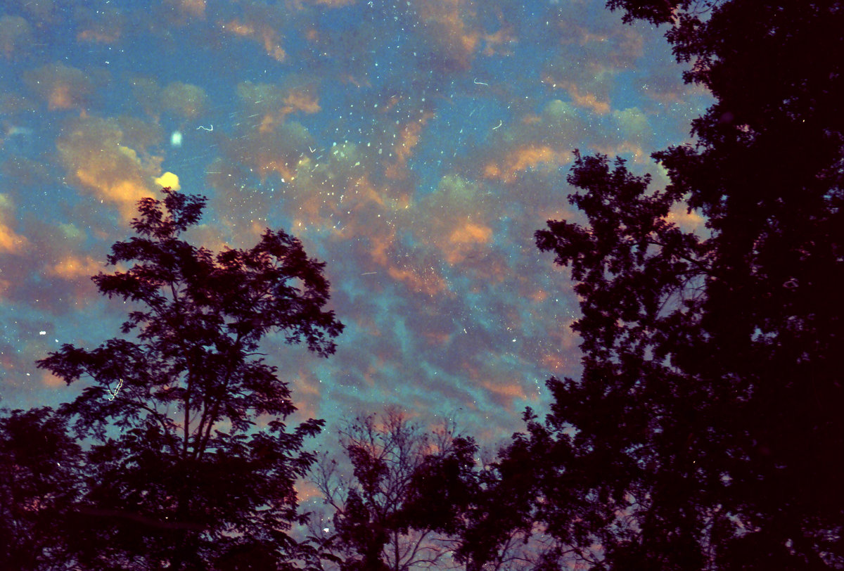 From the Archive | TERMINAL BRAIN ROT