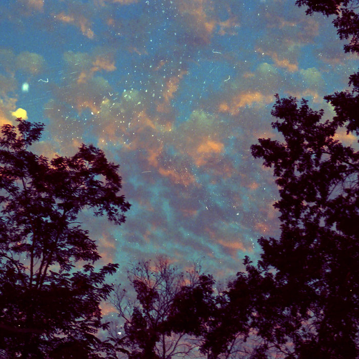 From the Archive | TERMINAL BRAIN ROT