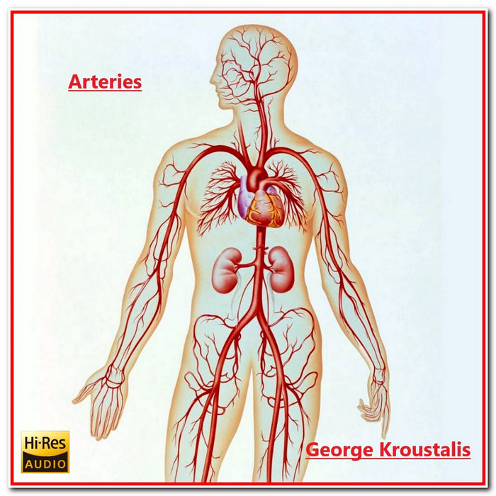 Arteries | George Kroustalis