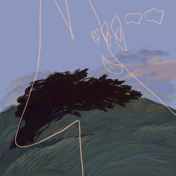 PATIENT ANIMAL | Patient Animal