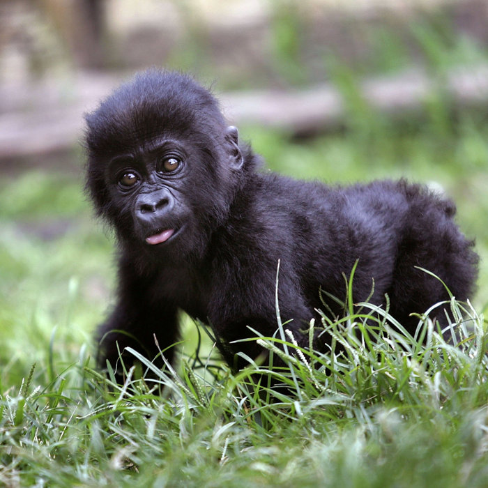 Call Me Crazy | Tim "Buck" Two