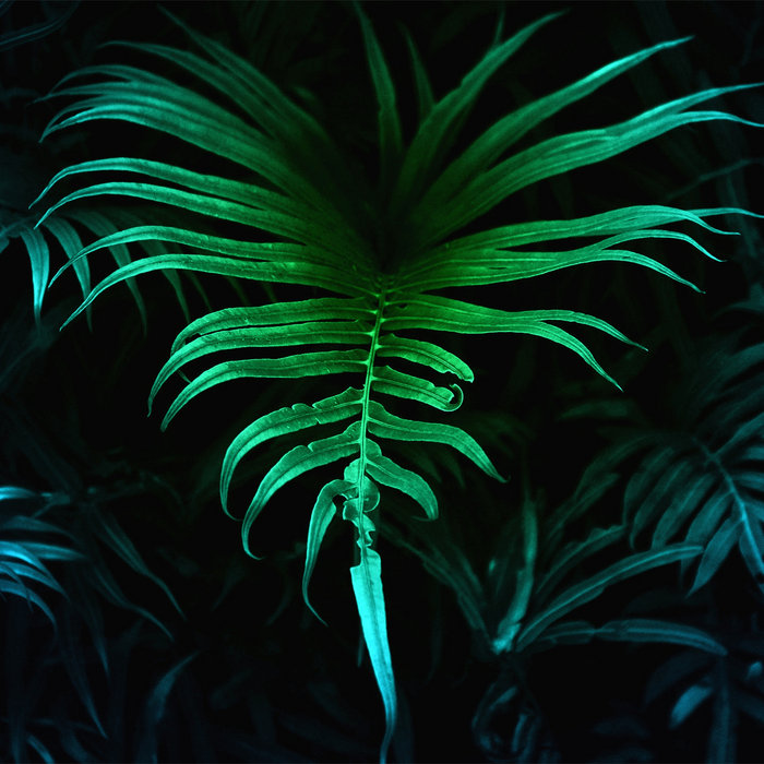 Burex - Creator | Burex