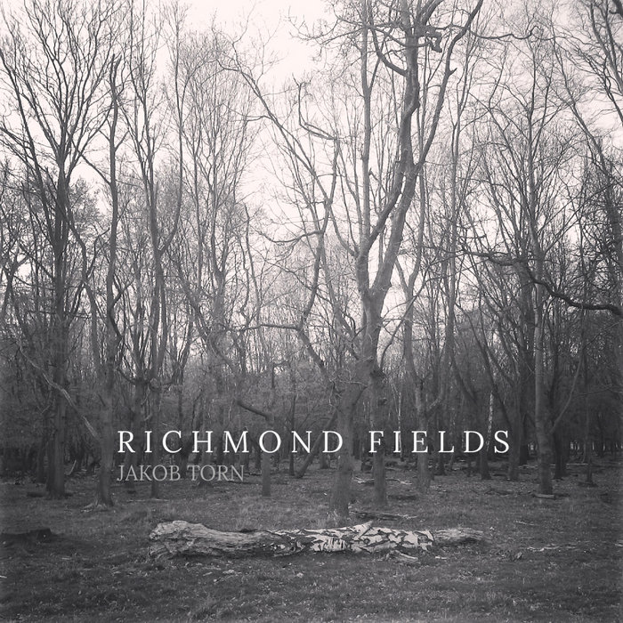 Richmond Fields | Istvan Toth
