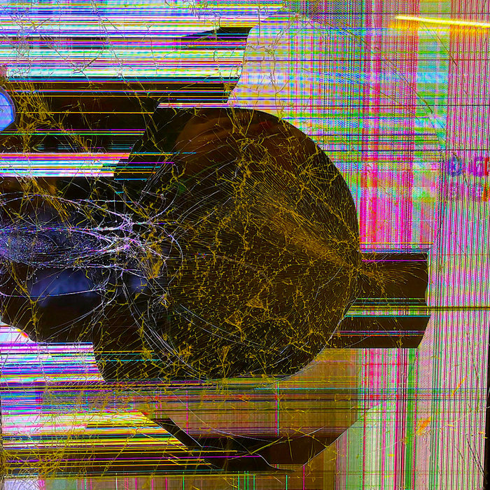 Blood Activation 2: The Human Shadow | Chuck Bettis | LivingMyth