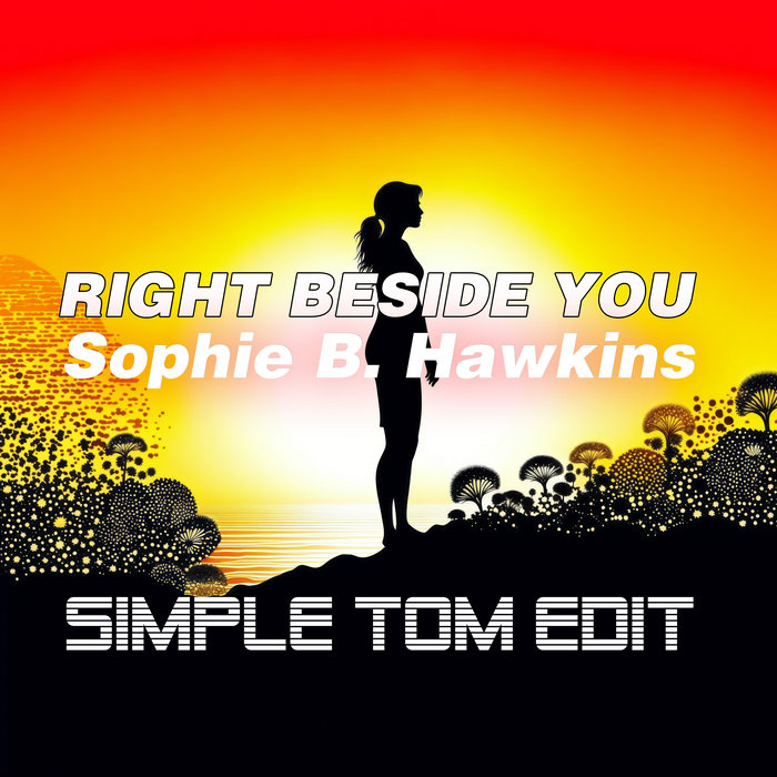 Sophie B Hawkins - Right Beside You (Simple Tom Edit) | Simple Tom