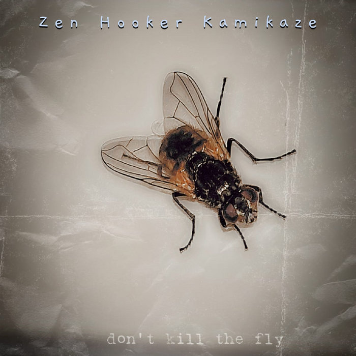 don't kill the fly | Zen Hooker Kamikaze | GATES of HYPNOS