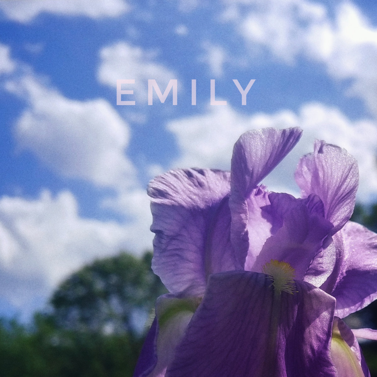 Emily | Braeden Sadler