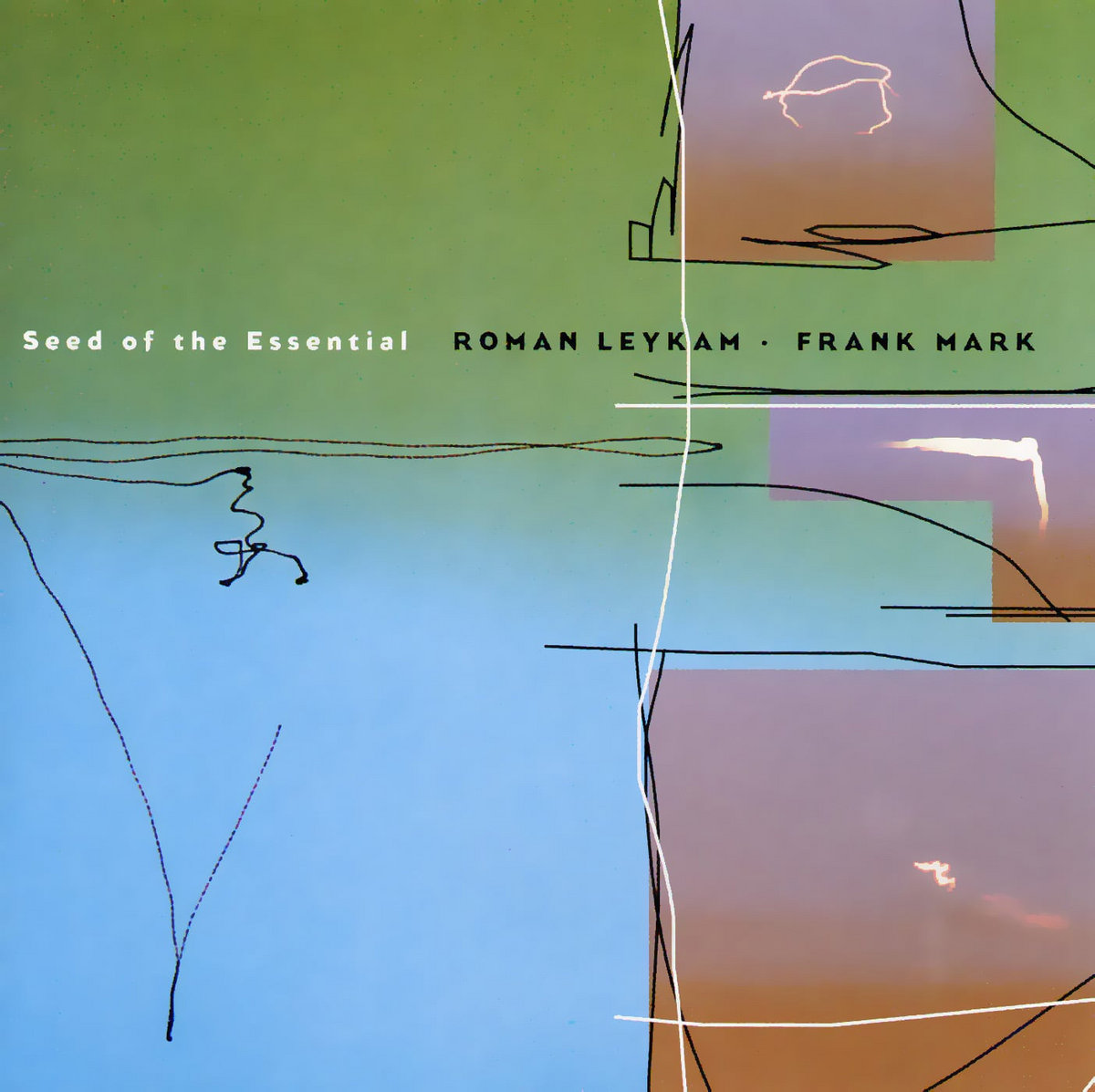 Seed of the Essential | Roman Leykam, Frank Mark | Frank Mark Arts