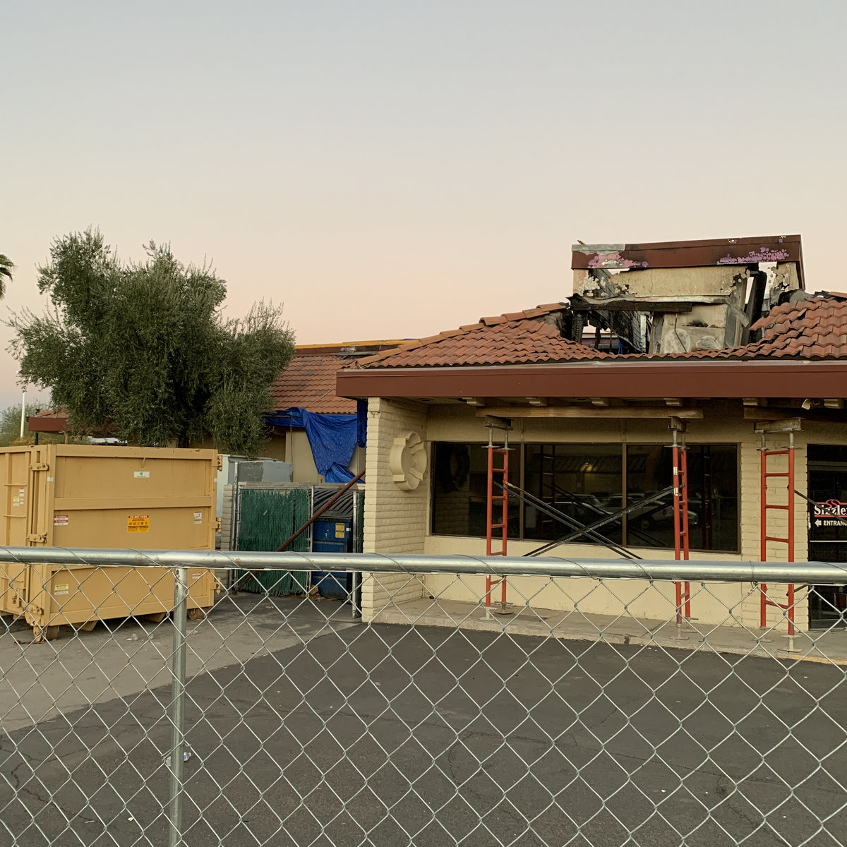 Last Trip to Bookmans | Quiet Coyotes