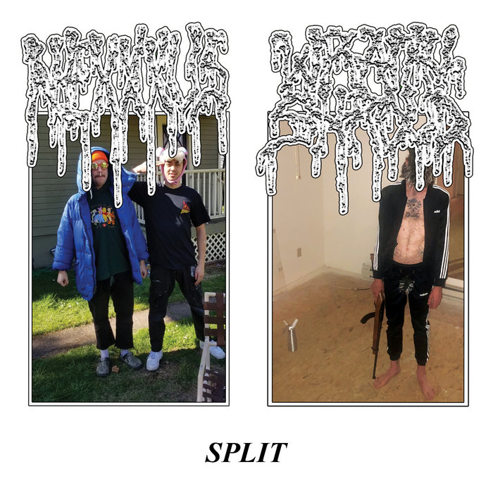 NEXXXUS SPLIT | WRAITH SHROUD