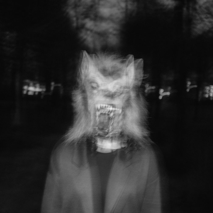 Wolves and Mirrors | Wolves and Mirrors | Shannon Barnett