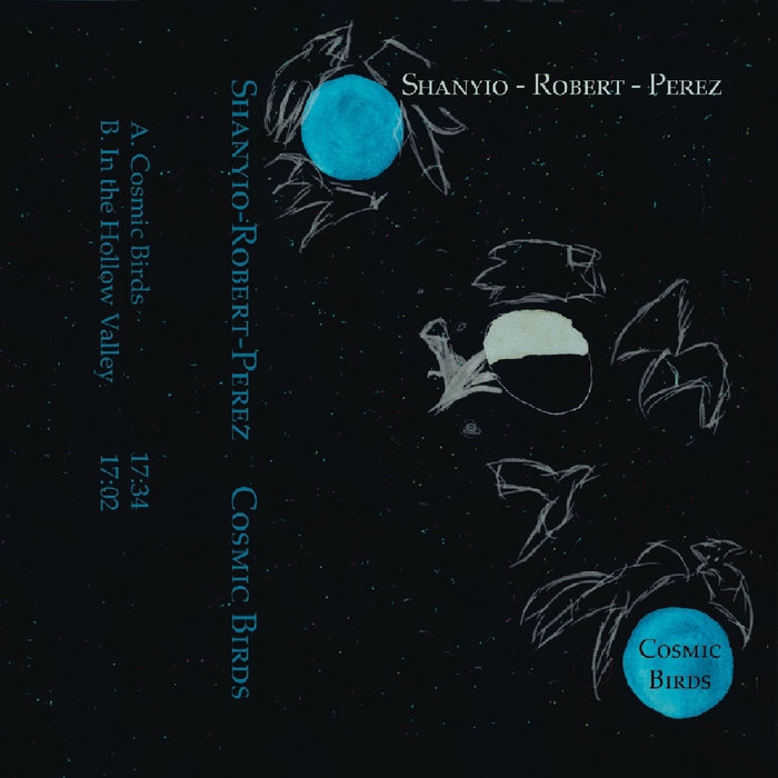 Cosmic Birds Shanyio