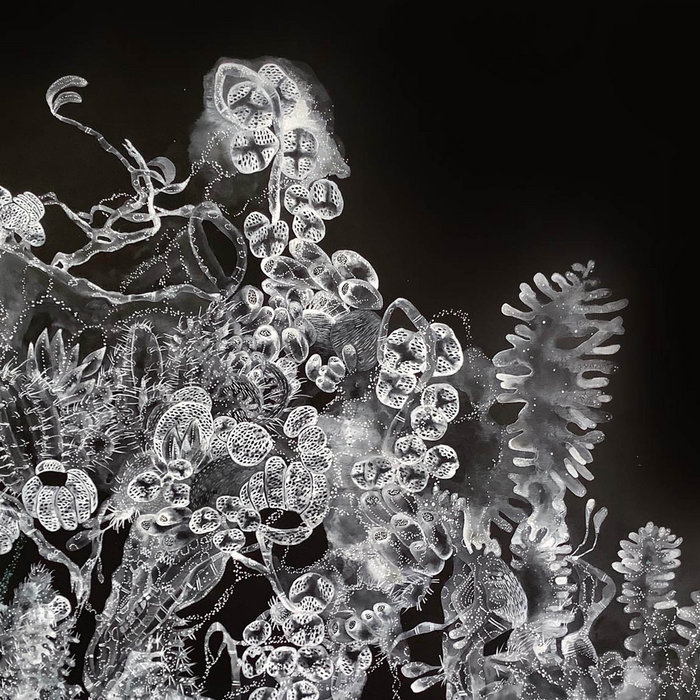 Strange Endeavour | Ducks!, Tim McMillan & Rachel Snow | Ducks!