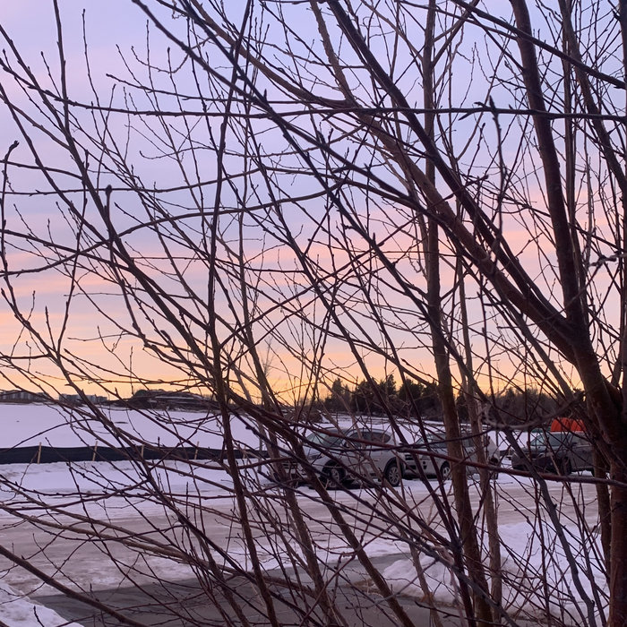 Alt Are You There | Random T