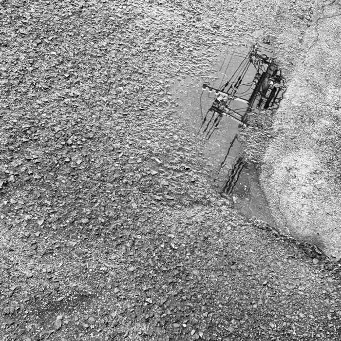 Dead Empathy | Carrion