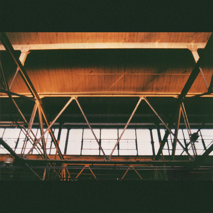 The Devil's Toy Box | Fish to Lizard