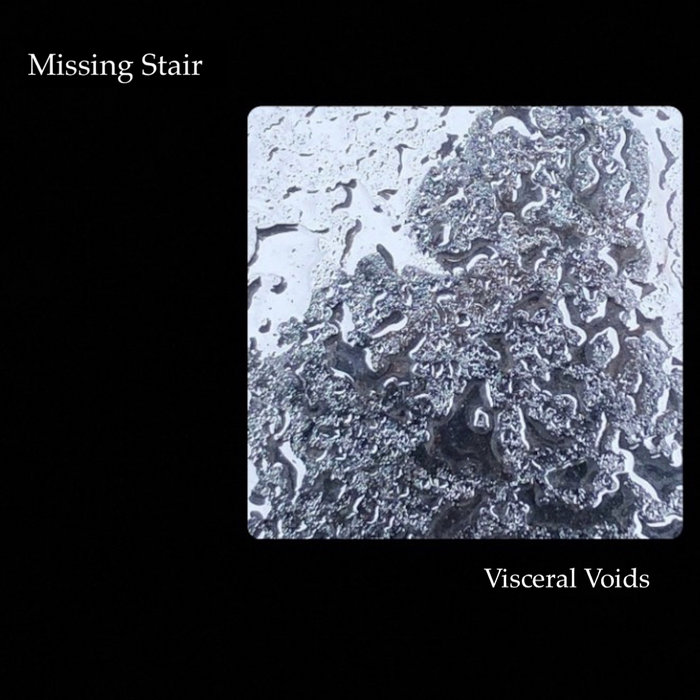 Visceral Voids | Missing Stair