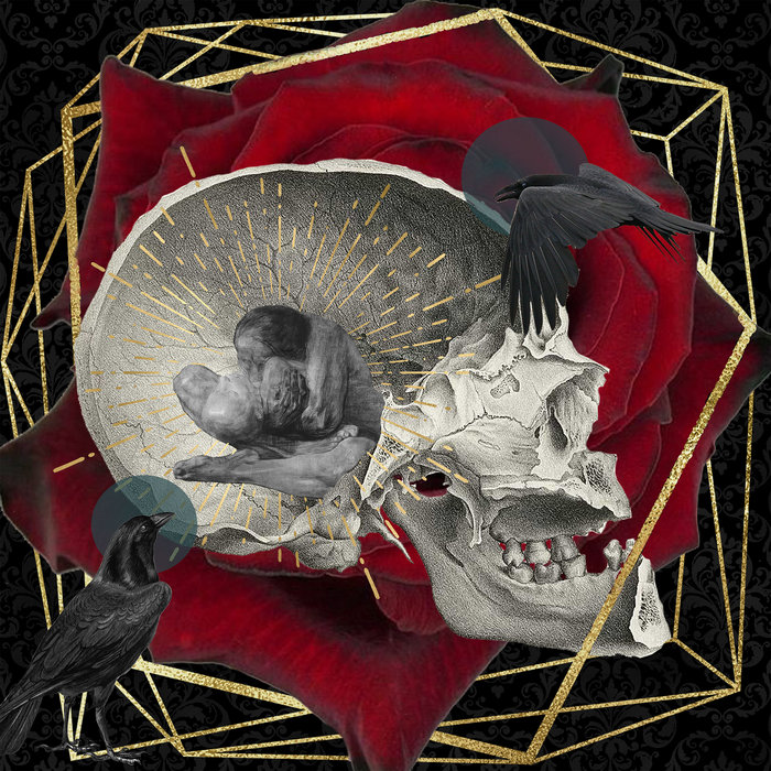 The Rose (Darker) | Michaela Betts