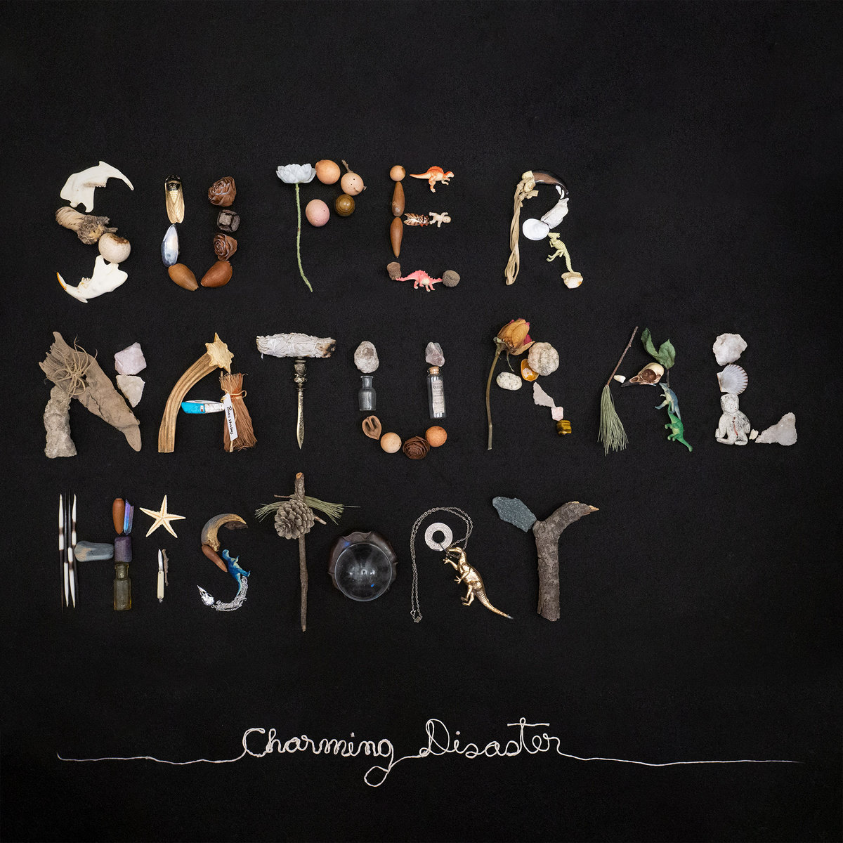 Super Natural History | Charming Disaster