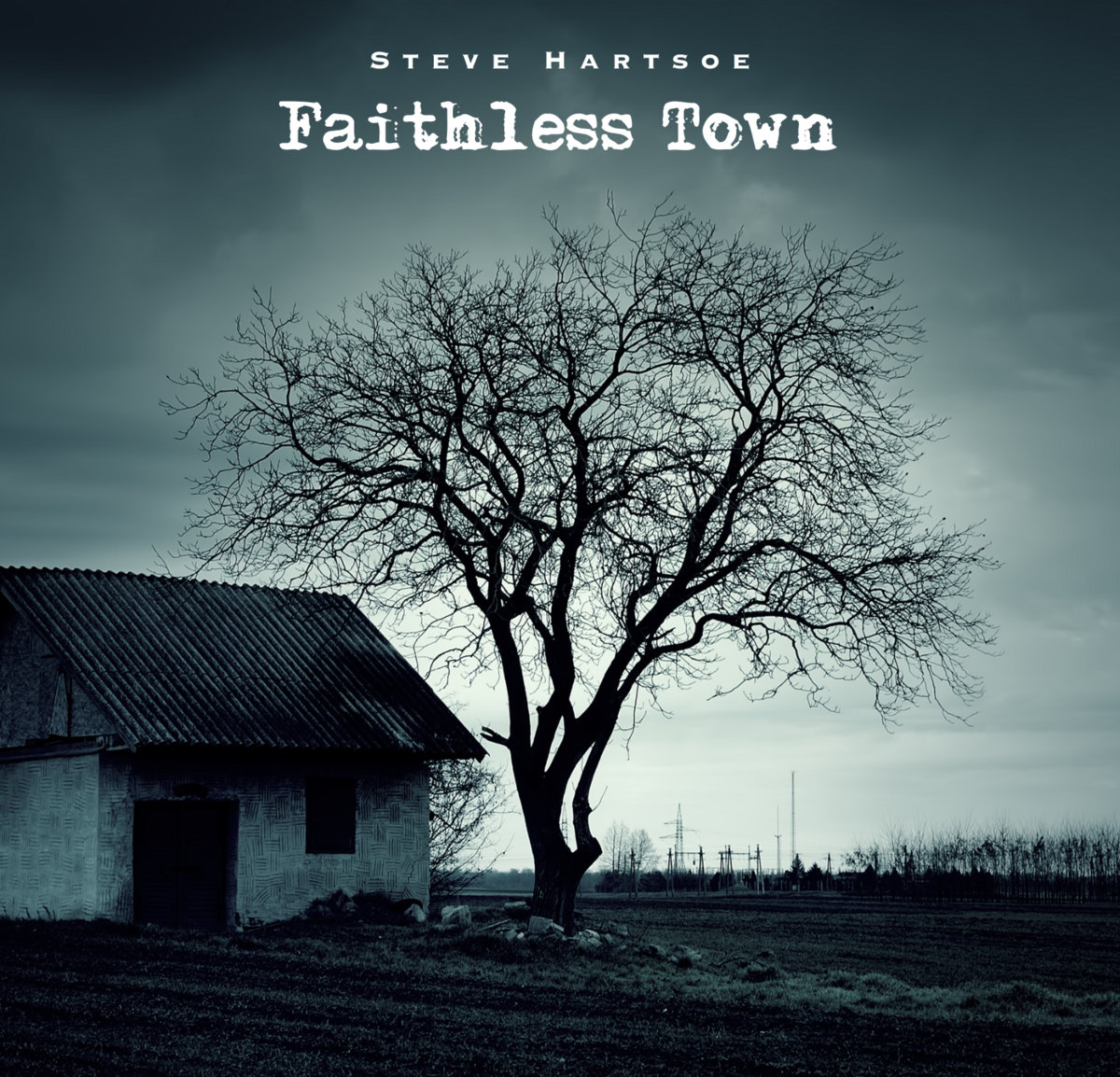 Faithless Town | Steve Hartsoe