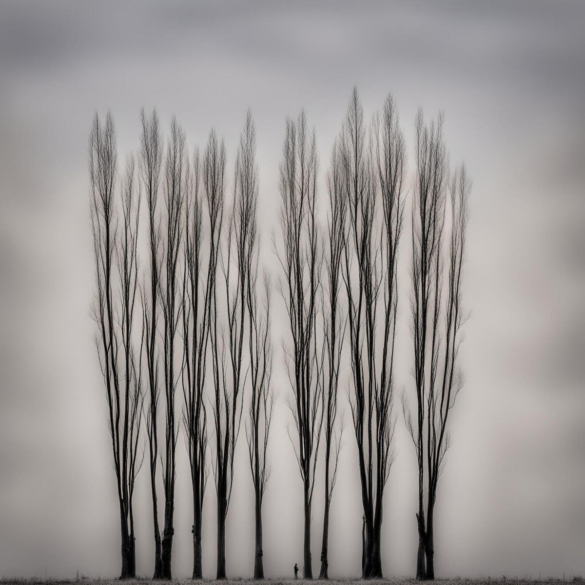 David Kovacs - Dreams fog and facts | David Kovacs