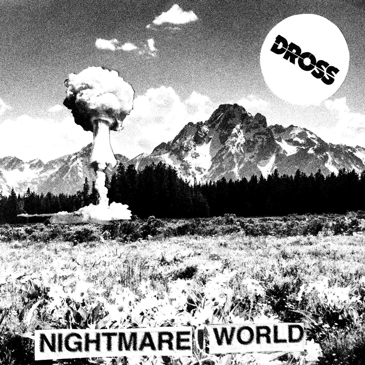 NIGHTMARE WORLD | DROSS