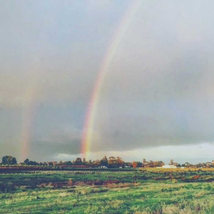 Rainbow | Imbred