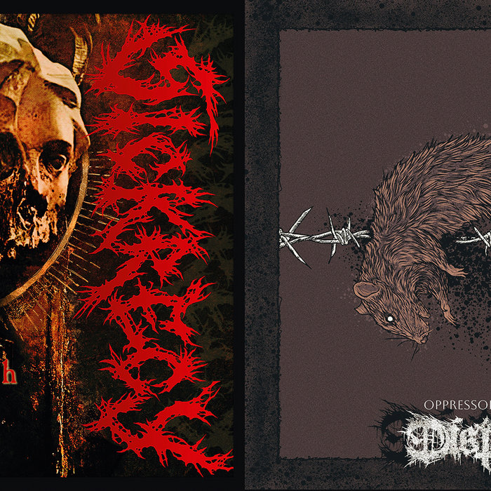 7DR063 - SICKRECY / DISTASTE - Split EP | 7 DEGREES RECORDS