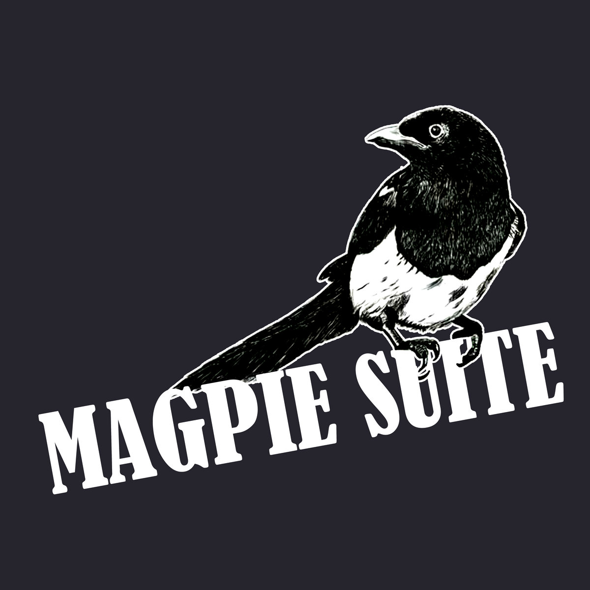 Last Minutes Of Daylight | Magpie Suite
