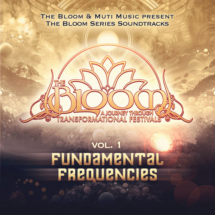 The Bloom Series Vol 1 : Fundamental Frequencies | The Bloom Series