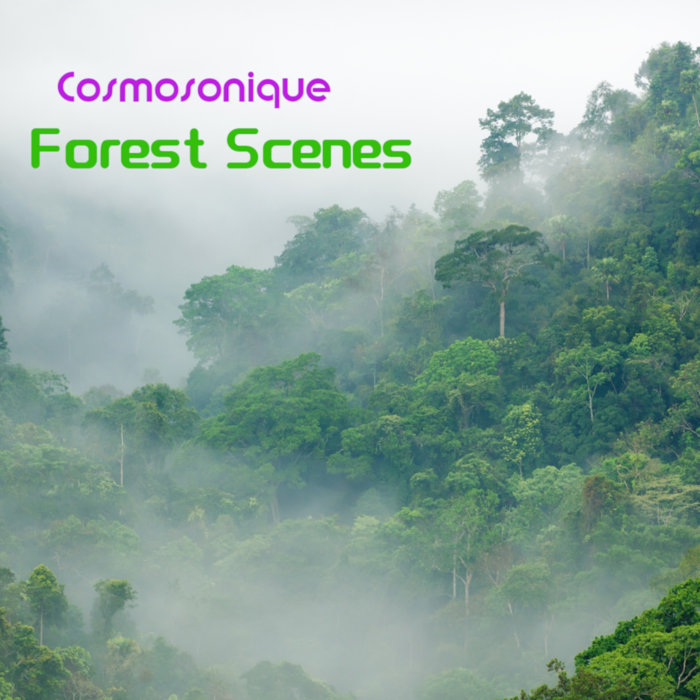 Forest Scenes | Cosmosonique