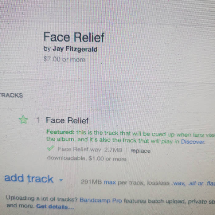 Face Relief | Jay Fitzgerald
