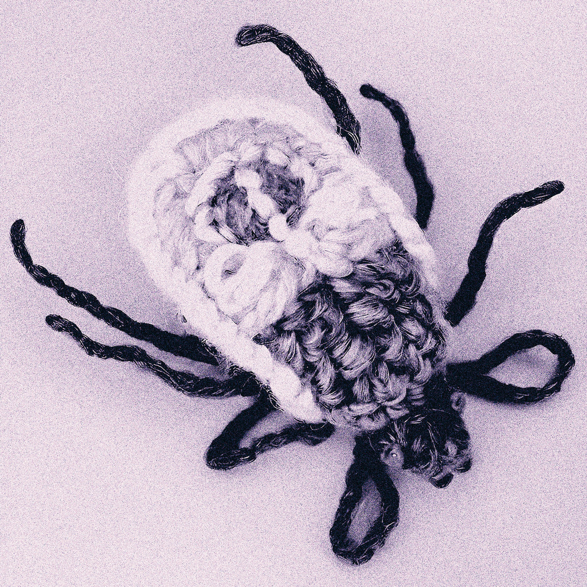 Ixodidae | Sdacse Joung Suppression | Cattam Klt.